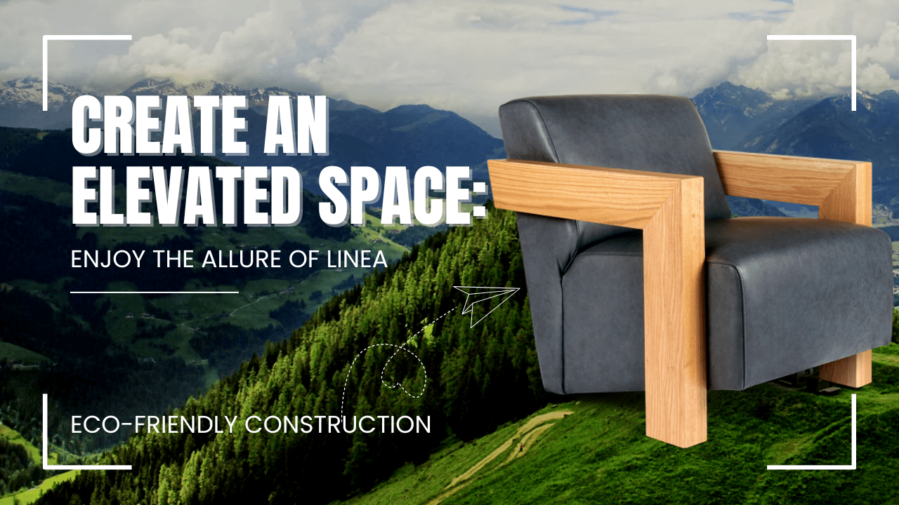 Create an Elevated Space: Enjoy the Allure of Linea Furniture at CountryTime Furniture ...